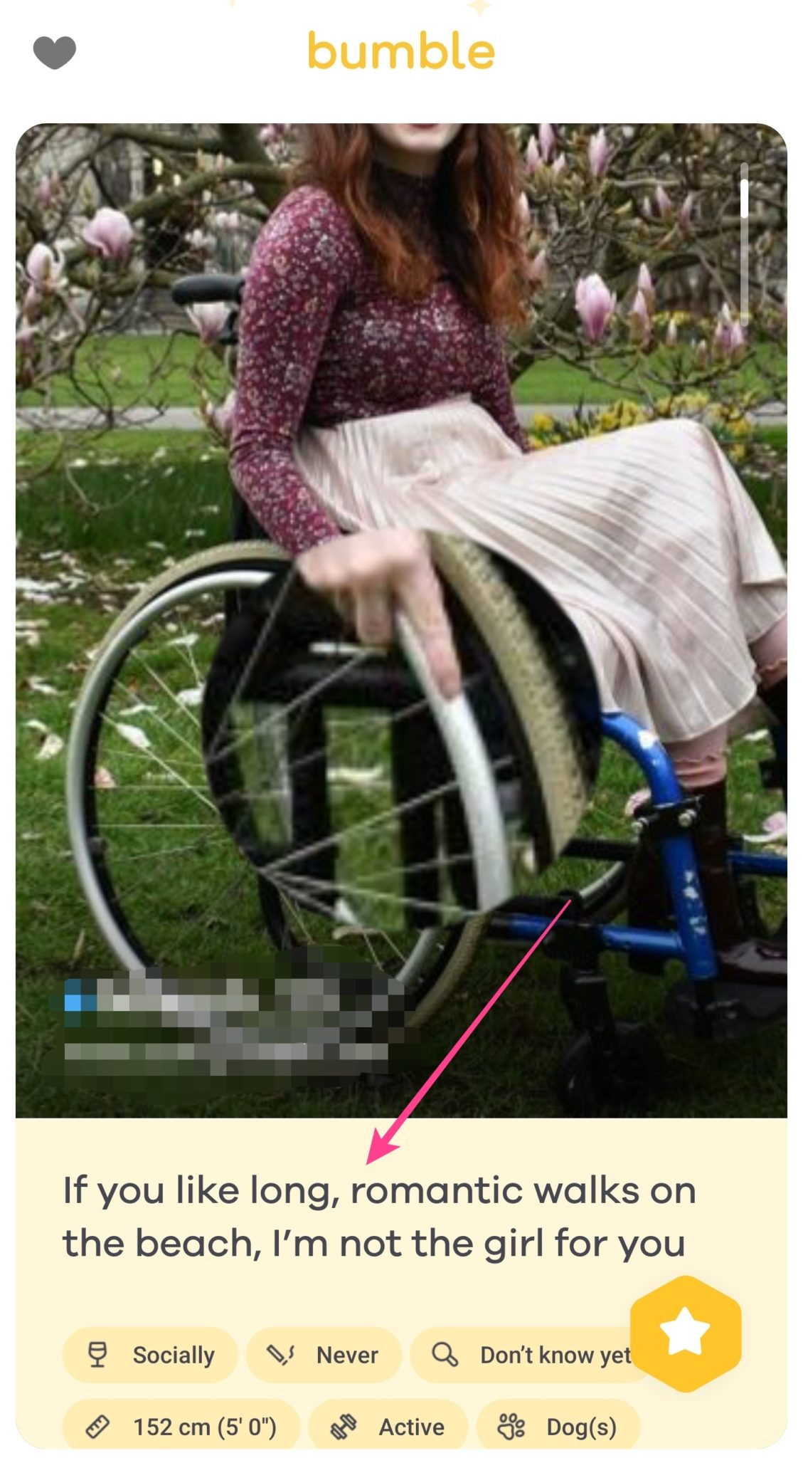 5 Bumble Profile Tips For 2023 to Stand Out — DatingXP.co